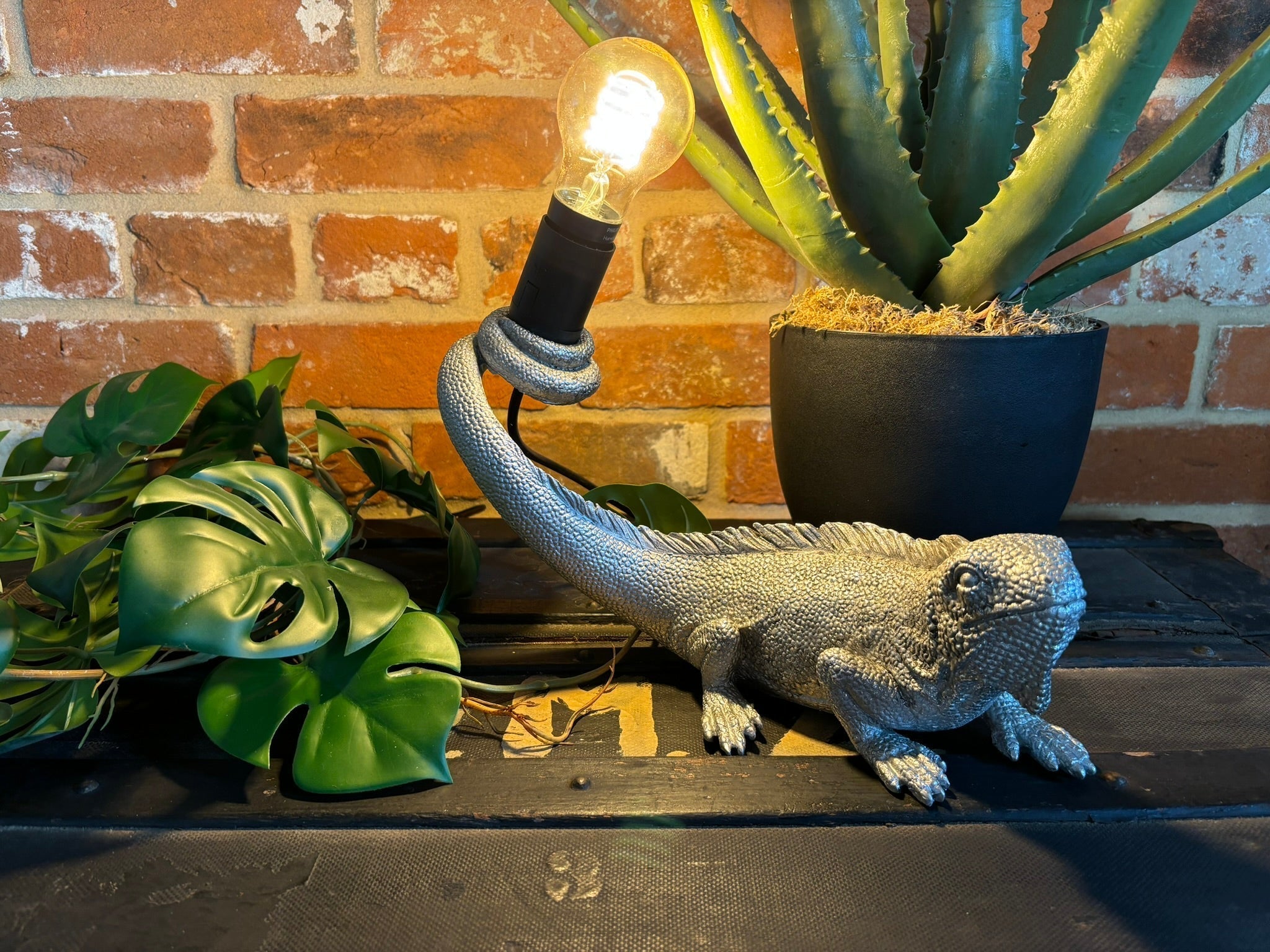 The History Of The Curiosity Shop – Skinny Pig Interiors