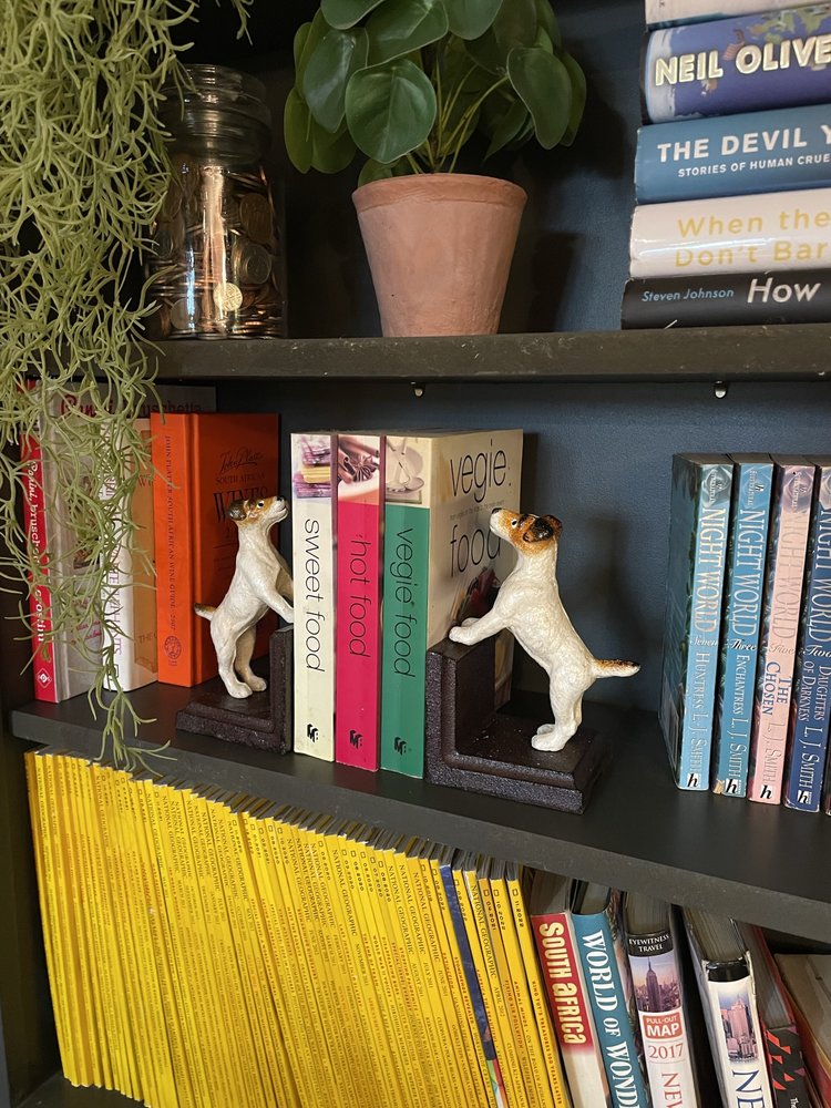Elevate Your Bookshelf Game: Why You Need Stylish Bookends from Our On ...