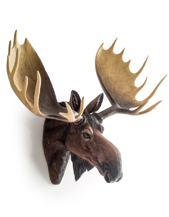 Wall Mounted Head - Mike The Moose – Skinny Pig Interiors